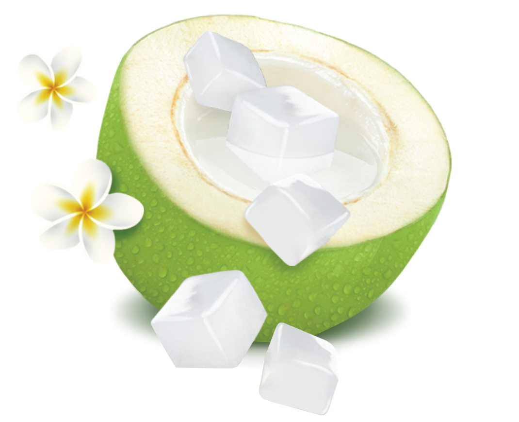 Jubes USA | Coconut Gel Cubes | Refreshing Dessert Packed with Fiber ...